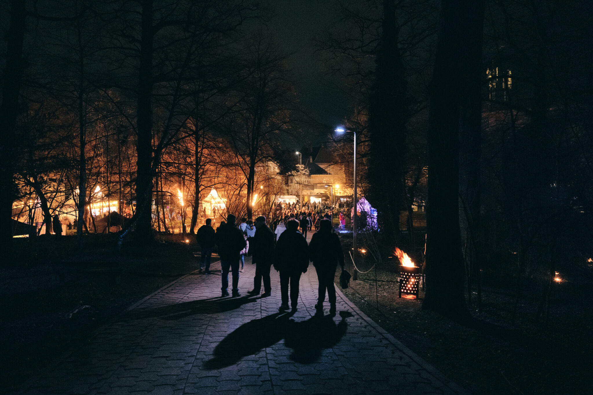 Nuit de la Culture 2025 – Rendez-vous le 20 septembre au Bois du Clair-Chêne - Esch Citylife